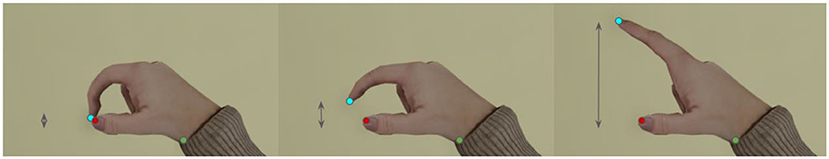 Frontiers | Automatic Classification and Severity Estimation of Ataxia ...