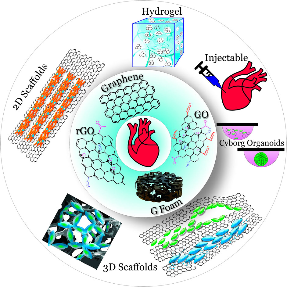 Frontiers | Graphene-Based Scaffolds: Fundamentals and Applications for ...