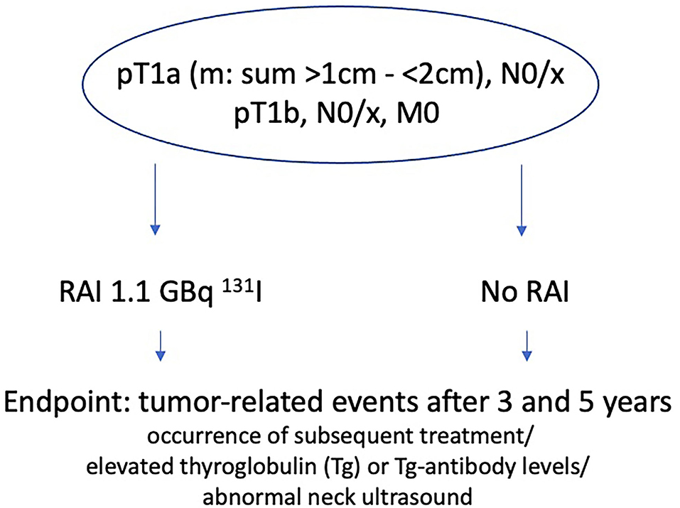 Frontiers | Shared Decision Making for Radioiodine Therapy and the Actual Pattern of Care in ...