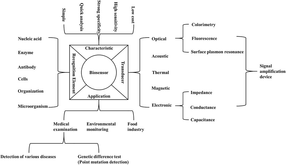 Frontiers | Biosensors for Point Mutation Detection