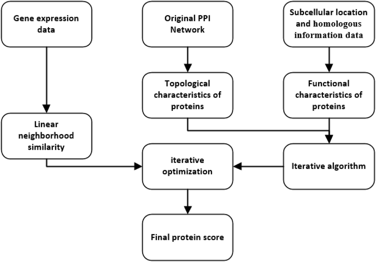 Frontiers | An Iterative Method for Predicting Essential Proteins Based ...