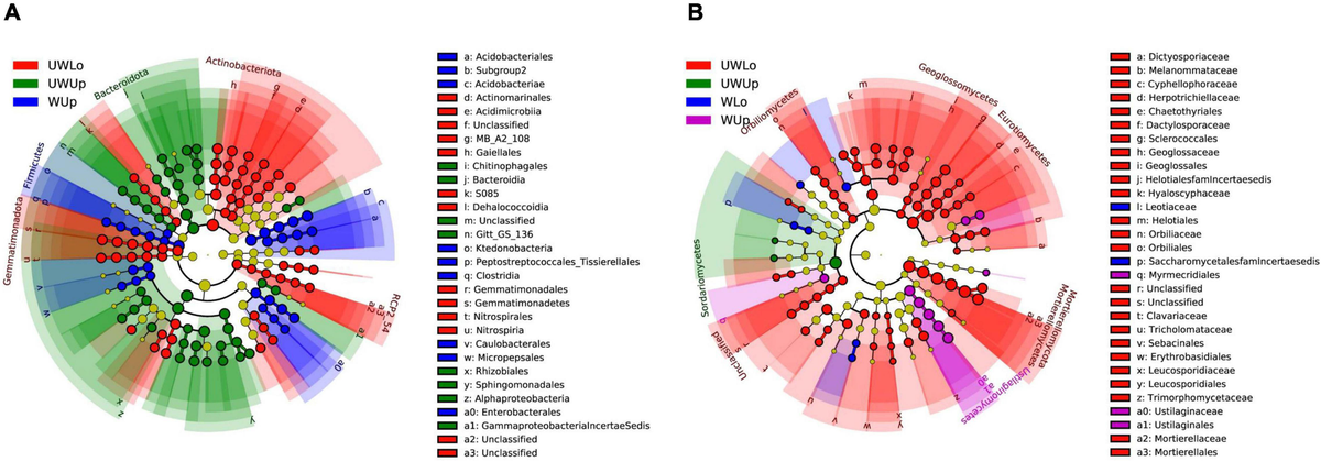 Frontiers | Homogeneous Selection and Dispersal Limitation Dominate the ...
