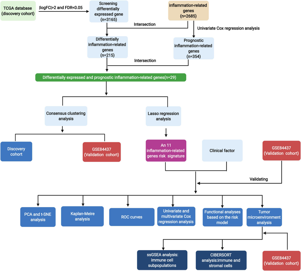 Frontiers | Inflammation-Related Genes Serve as Prognostic Biomarkers ...