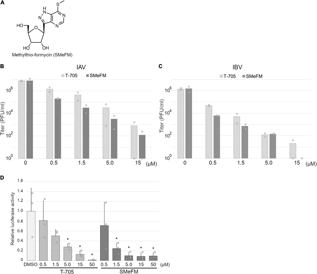 Frontiers | Anti-influenza Virus Activity of Methylthio-Formycin ...