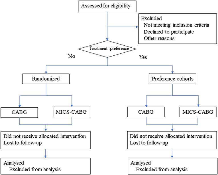 Frontiers | A Partially Randomized Patient Preference Trial to Assess ...