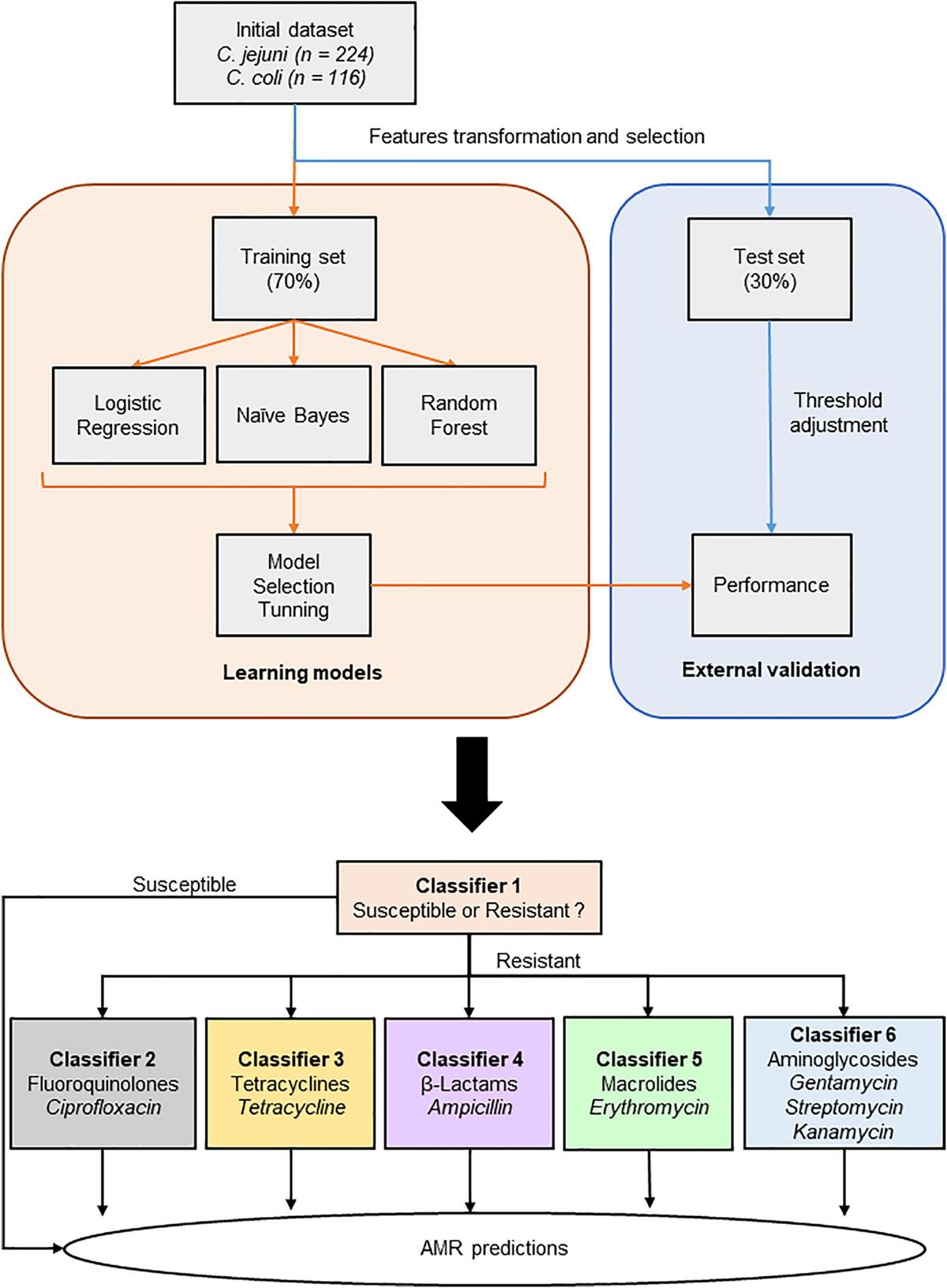 Frontiers | Combination of MALDI-TOF Mass Spectrometry and Machine ...