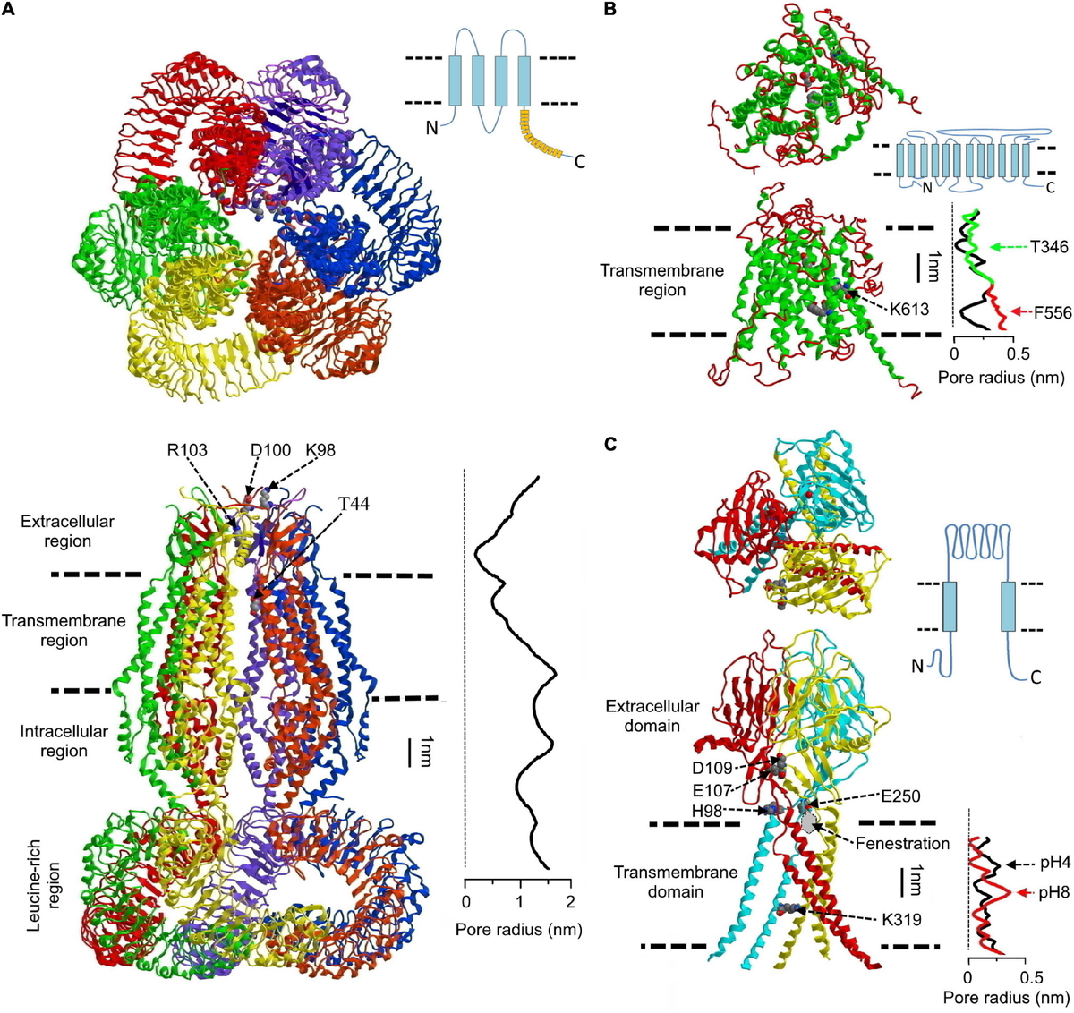 Frontiers | Properties, Structures, and Physiological Roles of Three ...