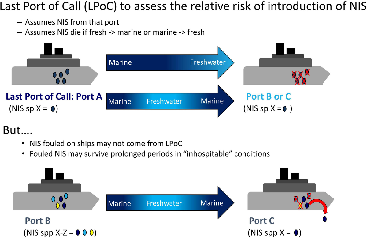 Frontiers | Experimental Analysis of Survival and Recovery of Ship ...
