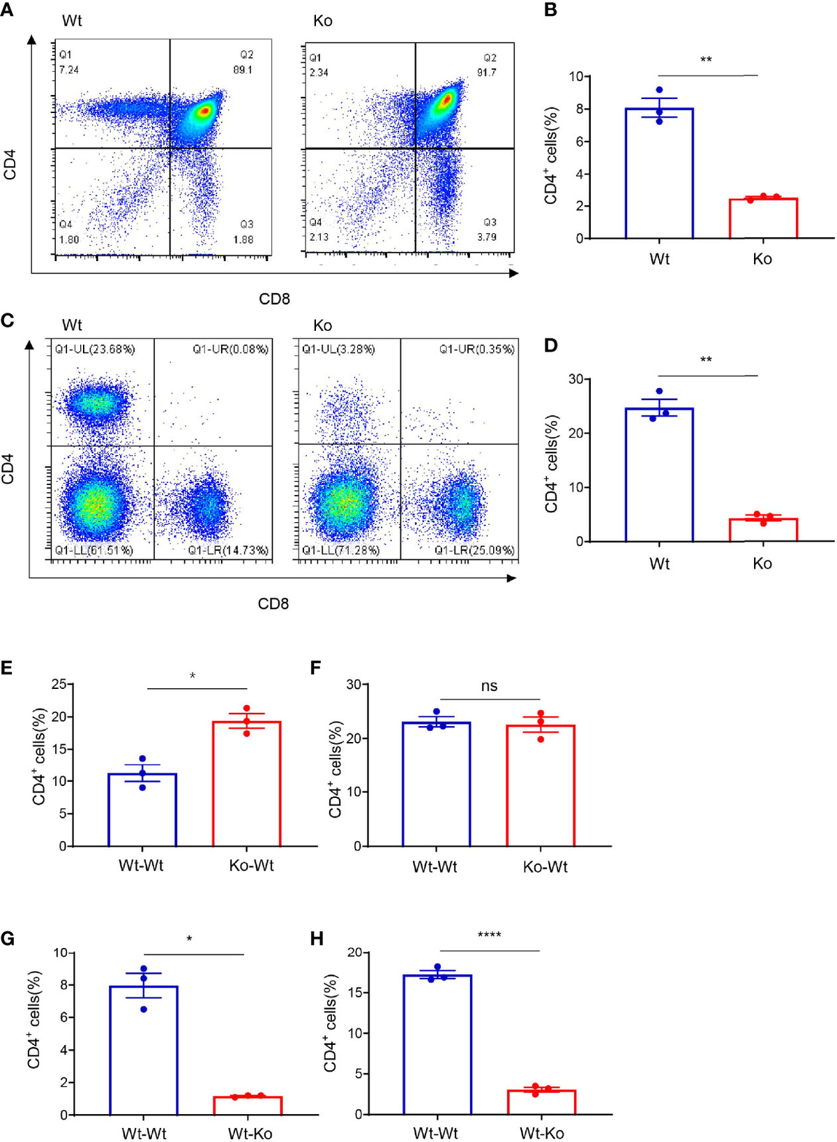 Frontiers | A Spontaneous H2-Aa Point Mutation Impairs MHC II Synthesis ...