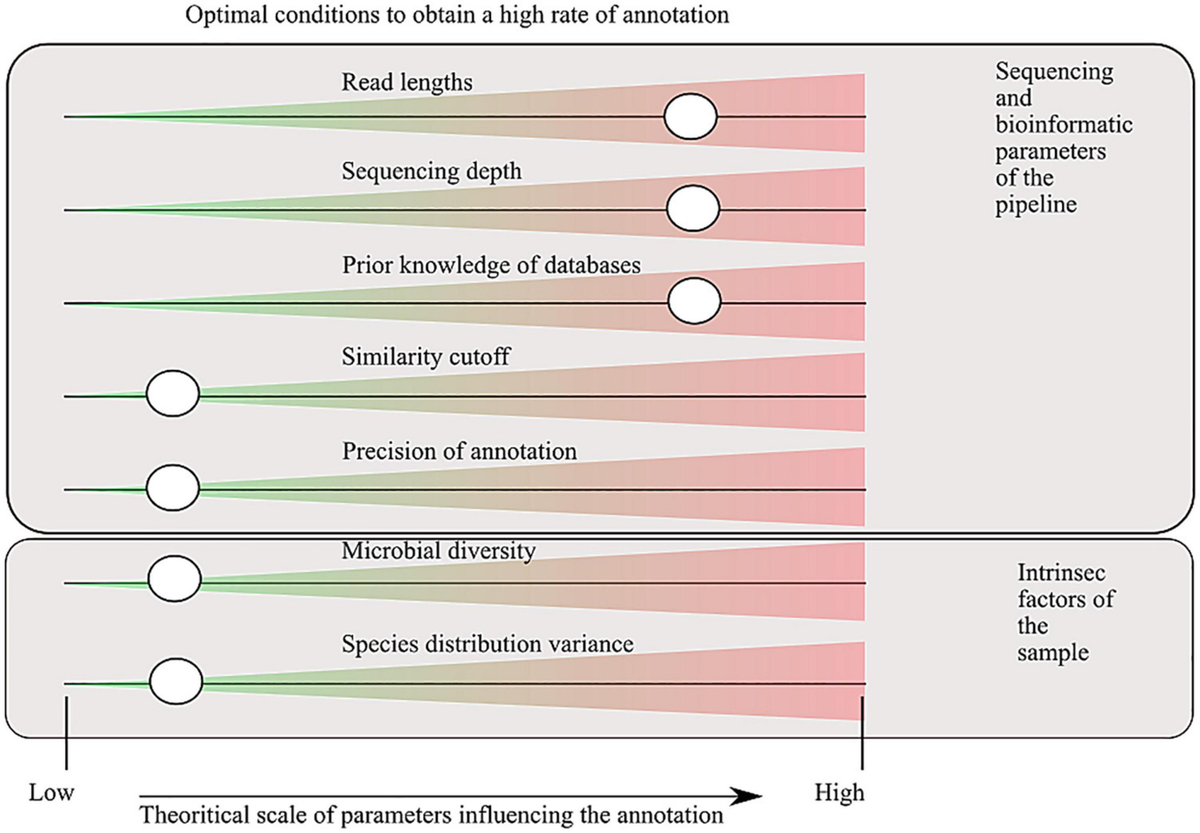 Frontiers | Machine Learning and Deep Learning Applications in Metagenomic Taxonomy and ...