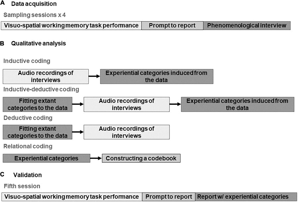 Frontiers | What Individuals Experience During Visuo-Spatial Working ...