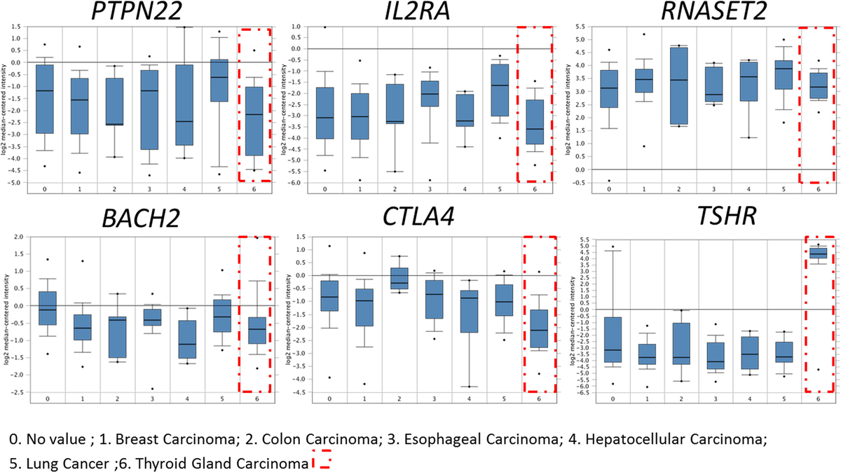 Frontiers | Mutation of Hashimoto’s Thyroiditis and Papillary Thyroid ...