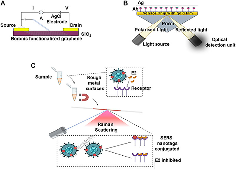 Frontiers | New Age Detection of Viruses: The Nano-Biosensors