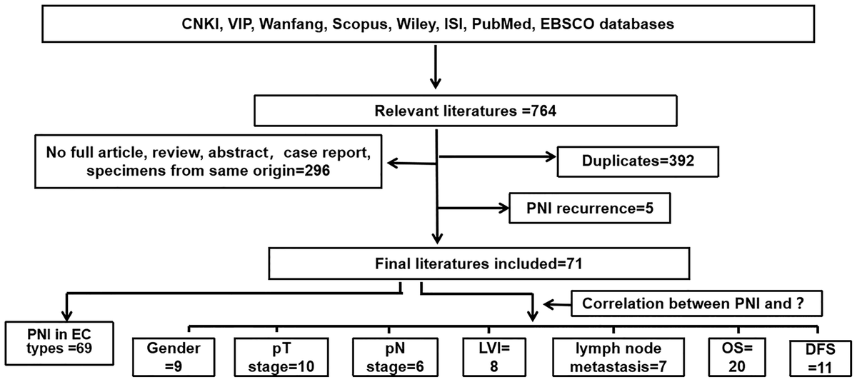 Frontiers | Perineural Invasion Is a Significant Indicator of High ...