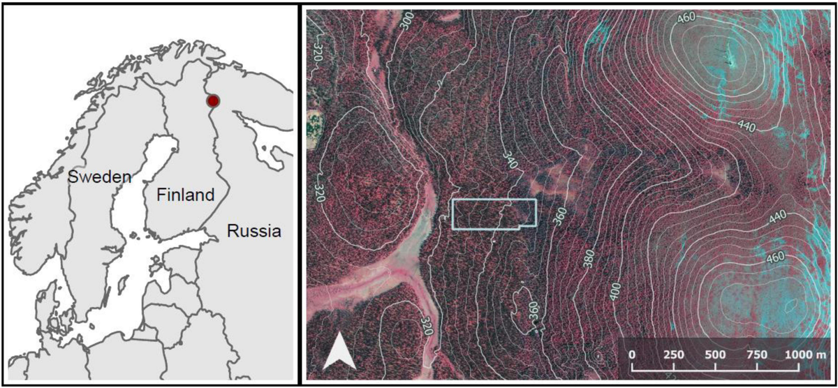 Frontiers | Partitioning of Space Among Trees in an Old-Growth Spruce ...