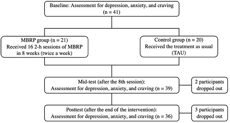 Frontiers | The Effectiveness of Mindfulness-Based Relapse Prevention ...