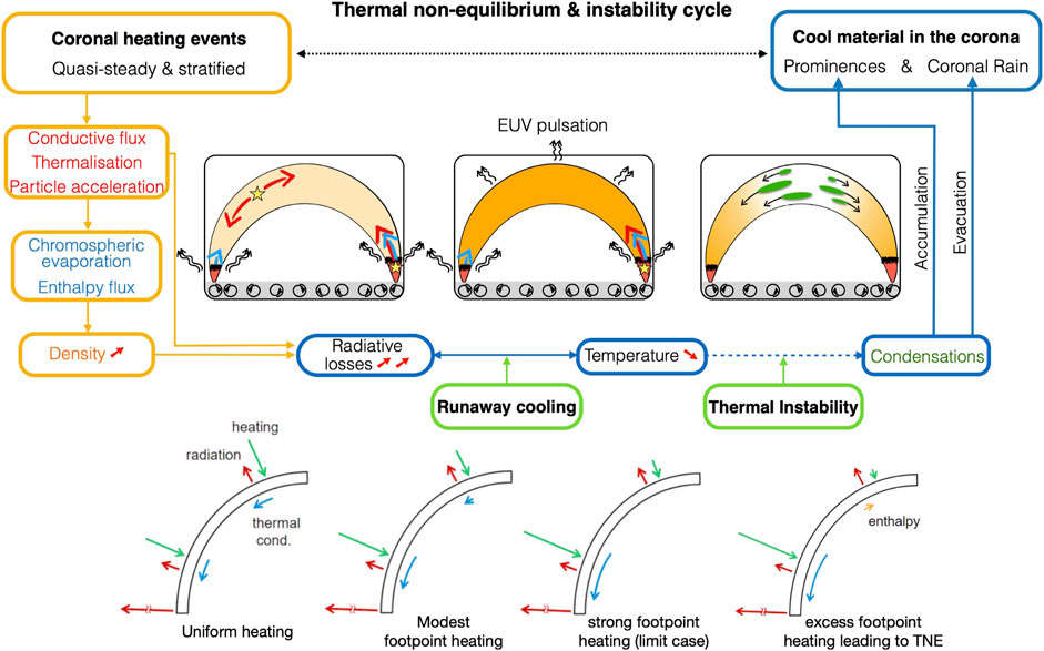Frontiers | Multi-Scale Variability of Coronal Loops Set by Thermal Non ...