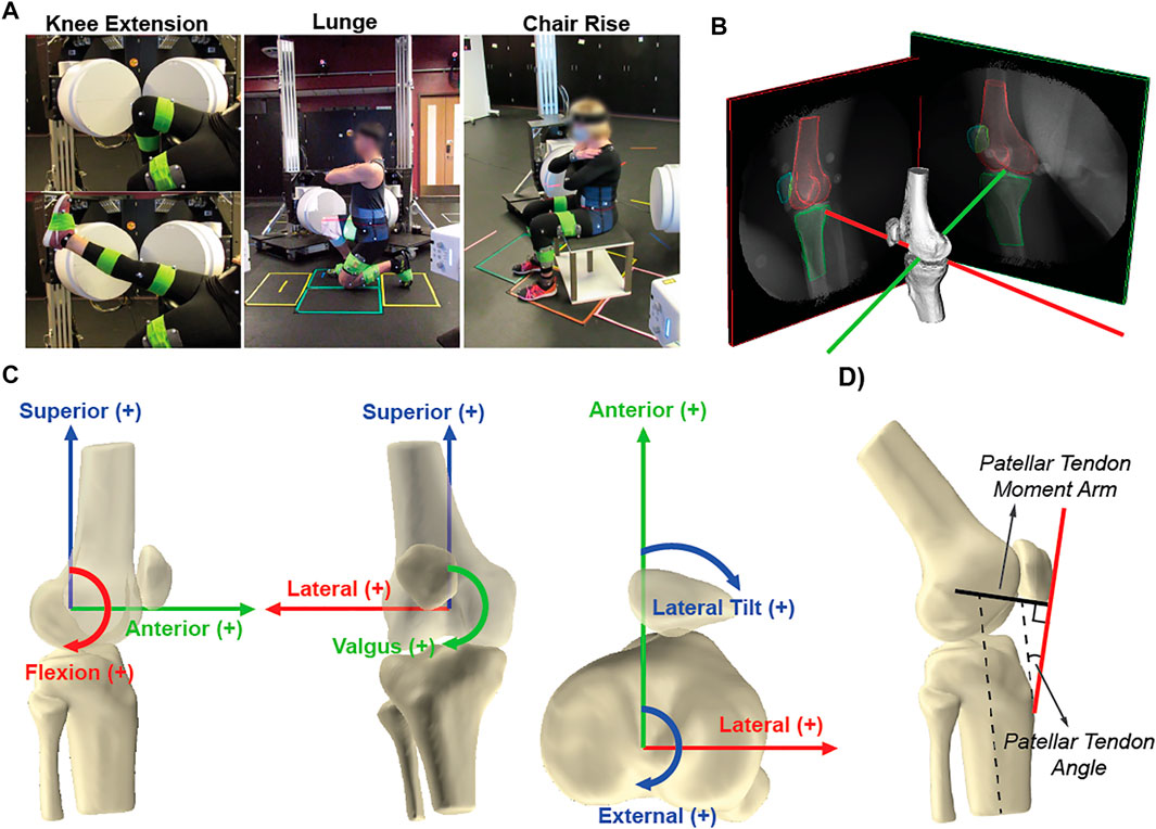Frontiers | Effects of Weight-Bearing on Tibiofemoral, Patellofemoral ...