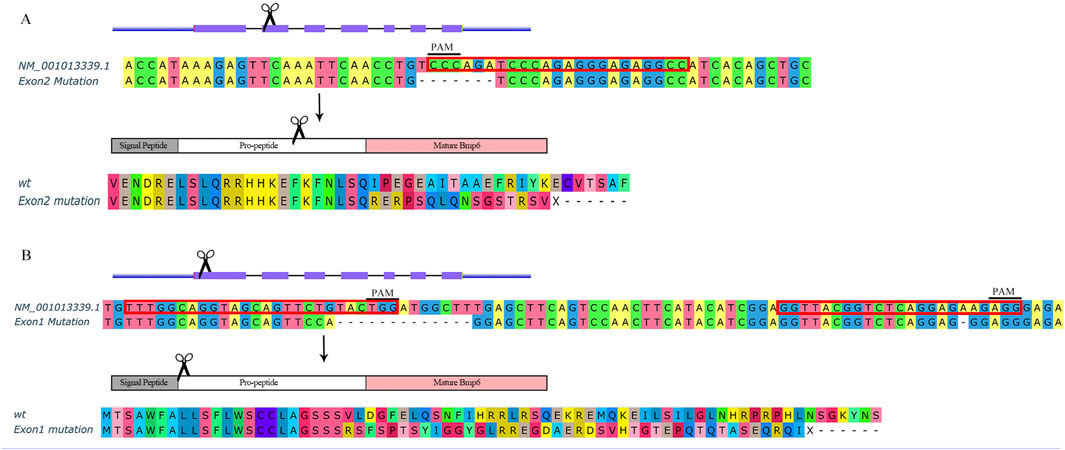 Frontiers | Transcriptomic Analysis Provides Insights to Reveal the ...