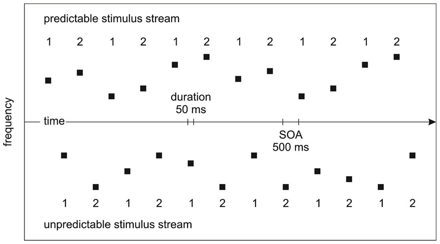 Frontiers | Both attention and prediction are necessary for adaptive ...