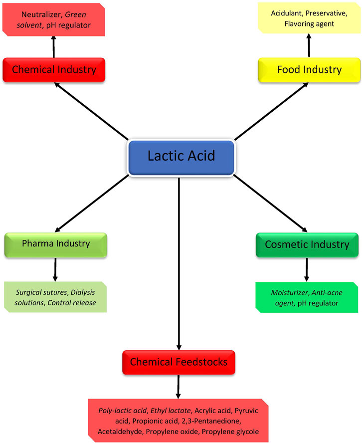 Lactic Acid Fermentation