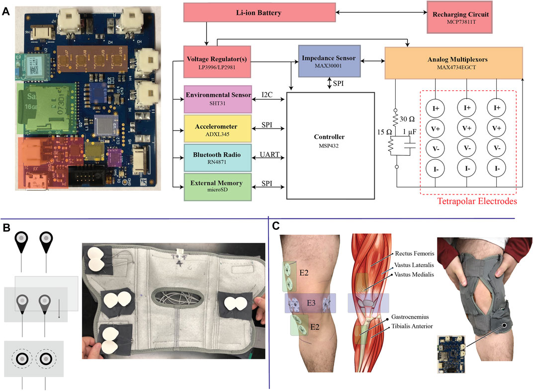 Frontiers | System Performance and User Feedback Regarding Wearable ...