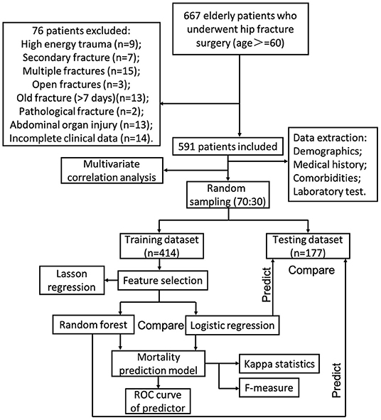 Frontiers | A New Random Forest Algorithm-Based Prediction Model of ...