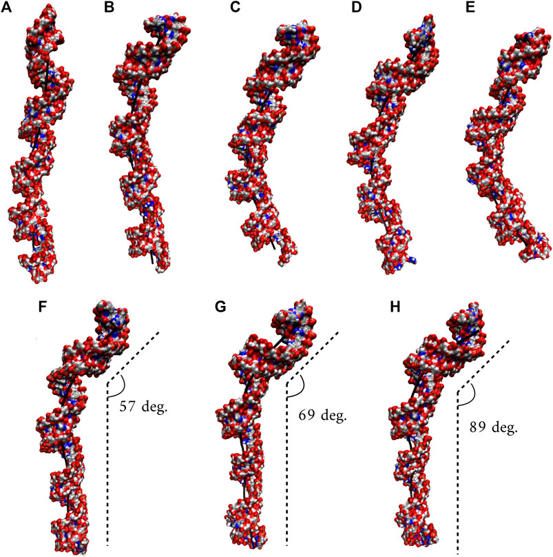 Frontiers | Computational Investigation of Bending Properties of RNA ...