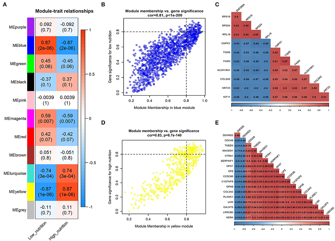 Frontiers | Identification of Key Genes Associated With Early Calf-Hood ...