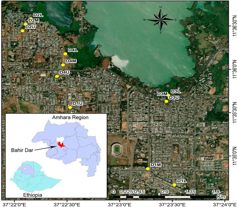 Frontiers Abundance And Characterization Of Microplastics In Main