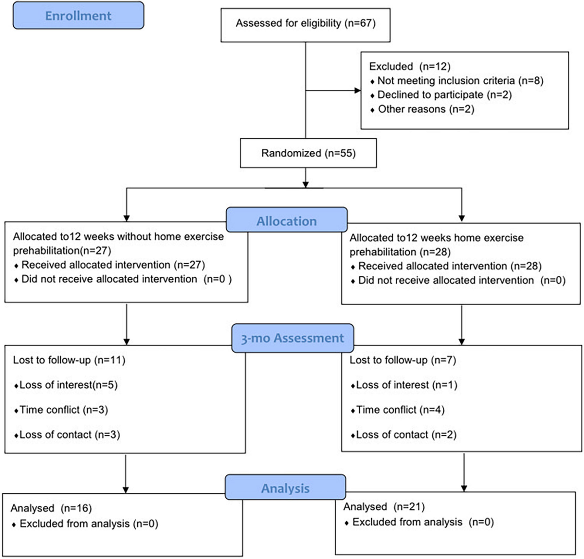 Frontiers | Face-to-Face Mentoring, Remotely Supervised Home Exercise ...