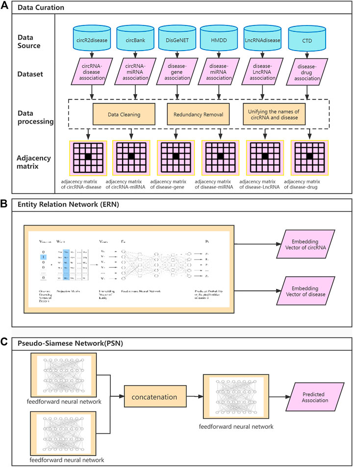 Frontiers | SAAED: Embedding and Deep Learning Enhance Accurate ...