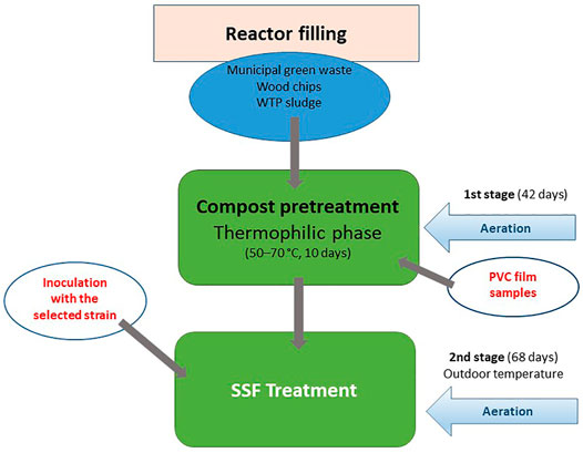 Frontiers | Biodeterioration of Compost-Pretreated Polyvinyl Chloride ...