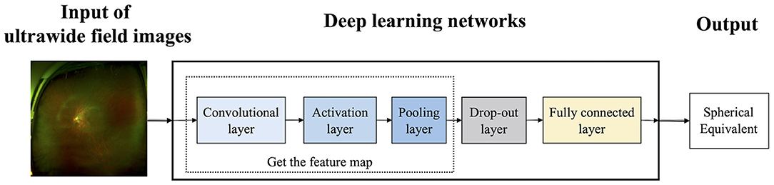 Frontiers | Prediction of Refractive Error Based on Ultrawide Field Images With Deep Learning ...