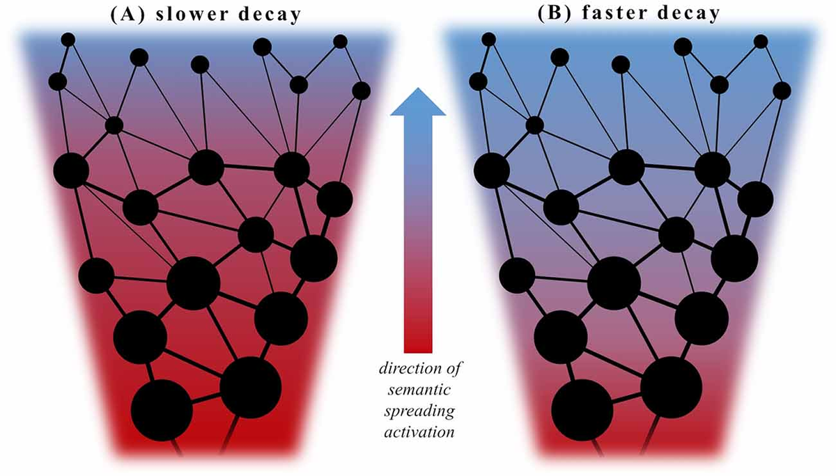 Frontiers | Dopamine-Related Reduction of Semantic Spreading Activation ...