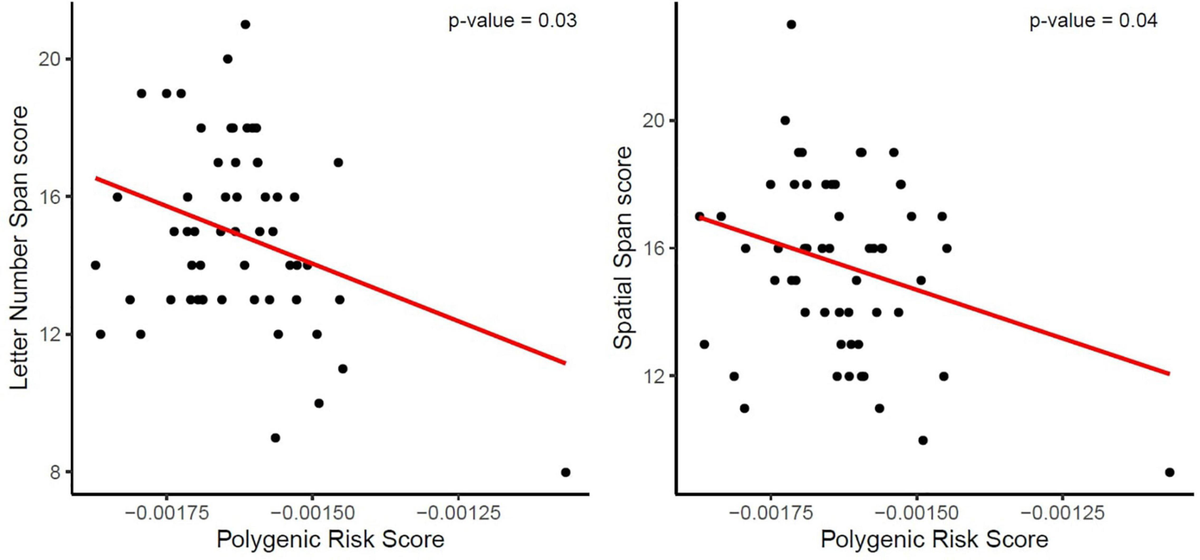 Frontiers | Investigating the Association Between Polygenic Risk Scores ...