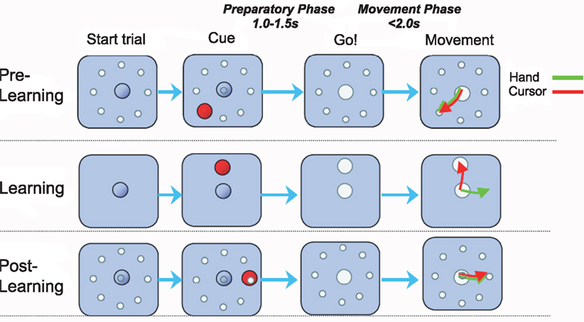 Frontiers | Online Adaptation and Over-Trial Learning in Macaque Visuomotor Control