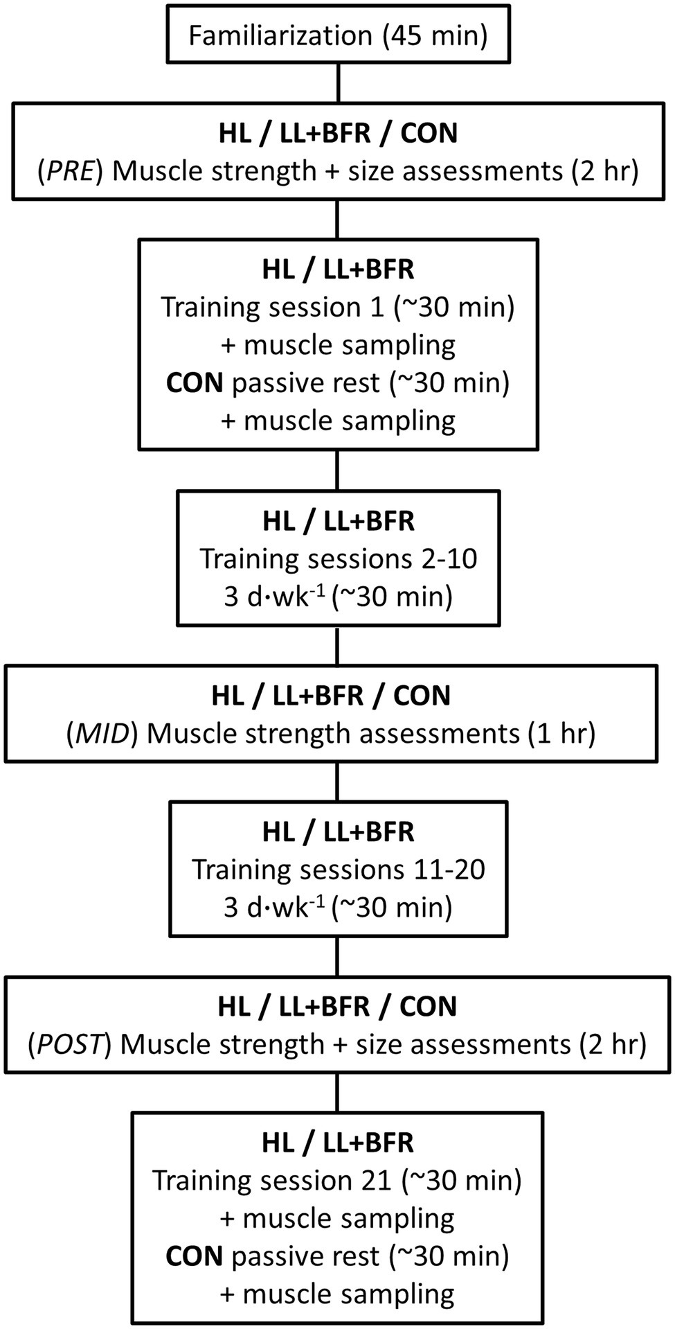 Frontiers | Muscle Adaptations to Heavy-Load and Blood Flow Restriction ...