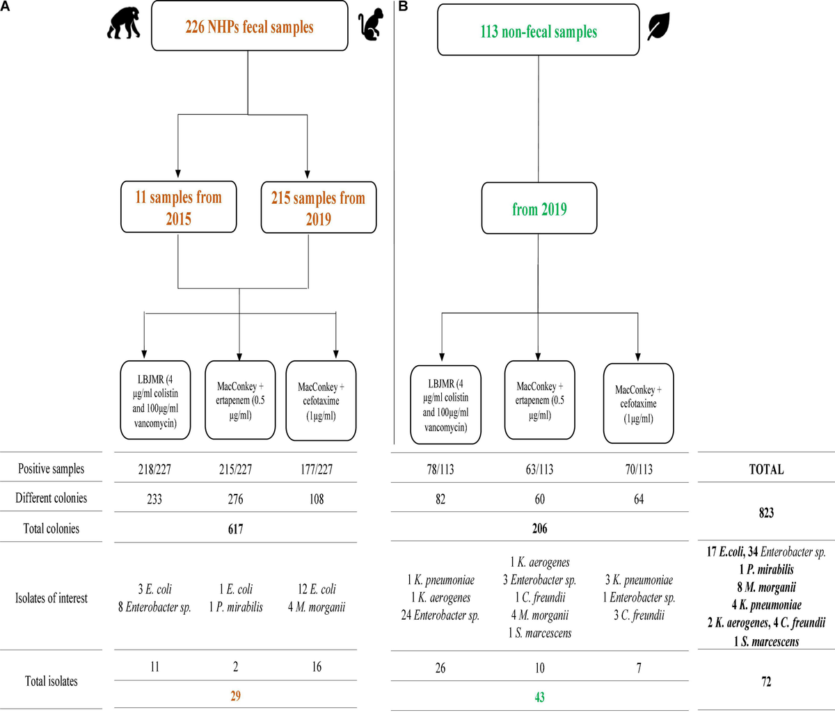 Frontiers | Population Diversity of Antibiotic Resistant ...