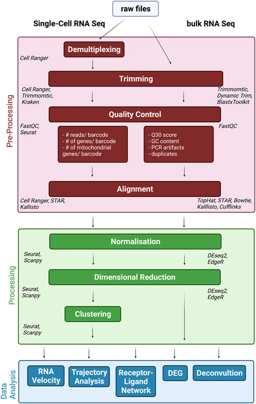 Frontiers | Perspectives on Bulk-Tissue RNA Sequencing and Single-Cell ...
