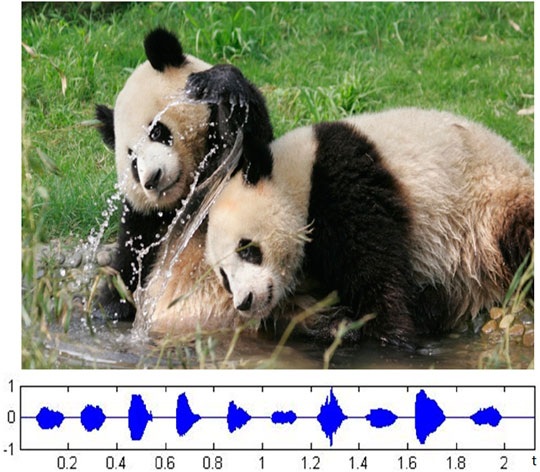 Frontiers | Characteristic Sequence Analysis of Giant Panda Voiceprint