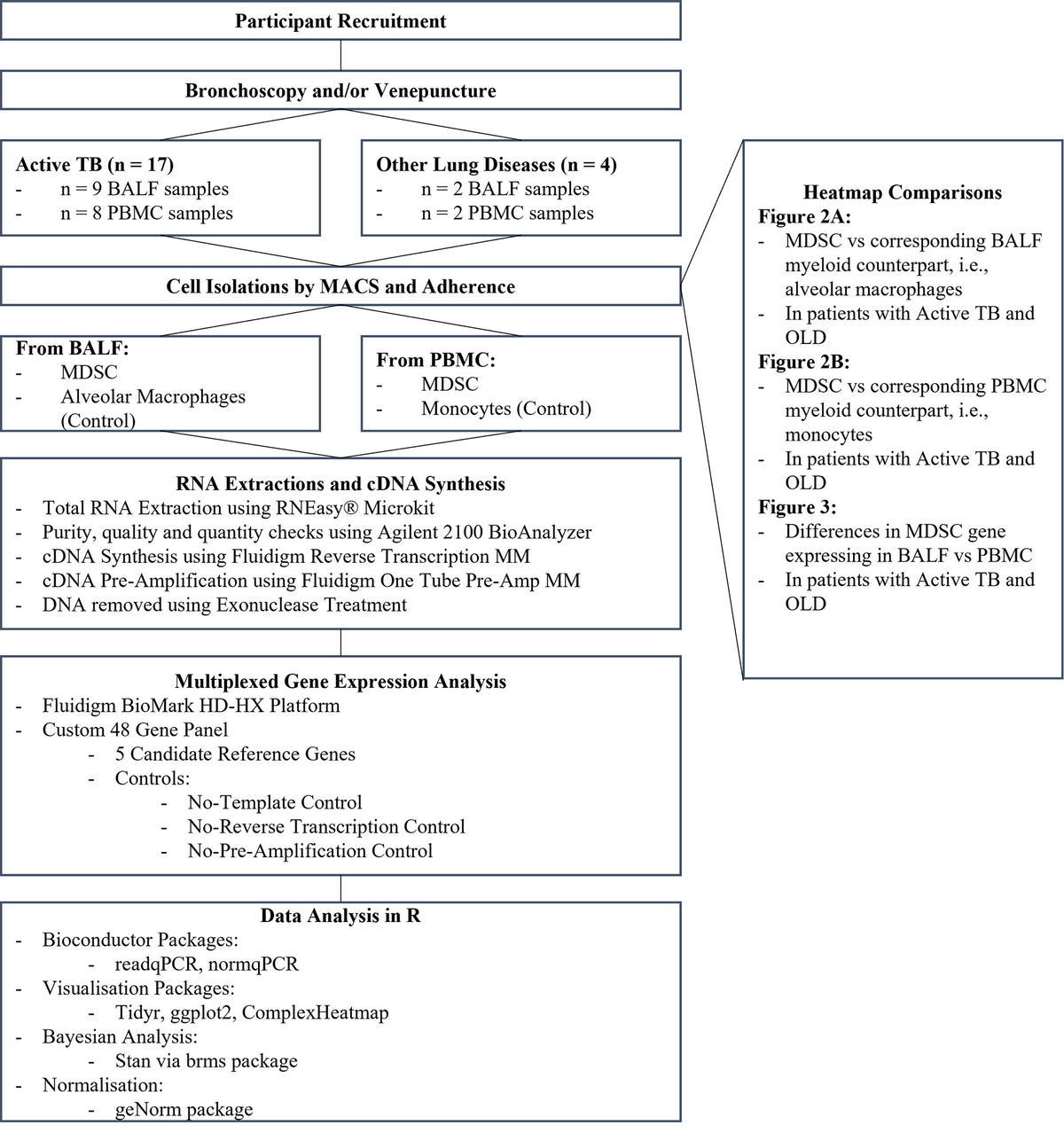 Frontiers | Targeted Gene Expression Profiling of Human Myeloid Cells ...