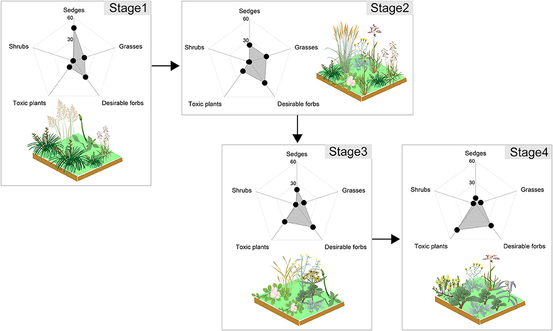 Frontiers | Ecosystem Coupling and Ecosystem Multifunctionality May ...