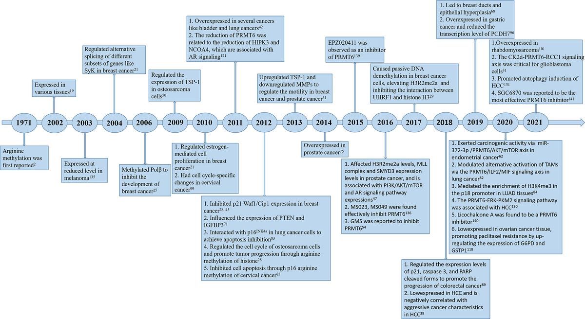Frontiers | The Emerging Role of PRMT6 in Cancer