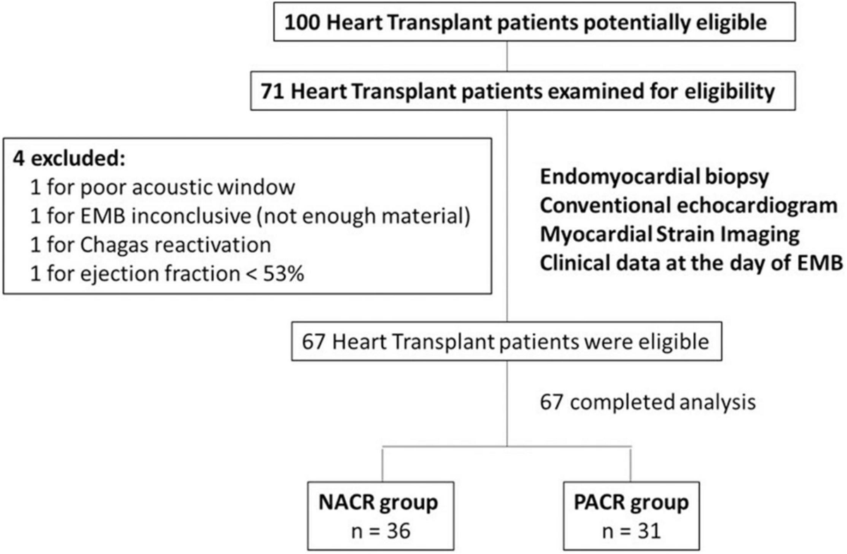 Frontiers | Acute Cellular Rejection in Heart Transplant Patients ...