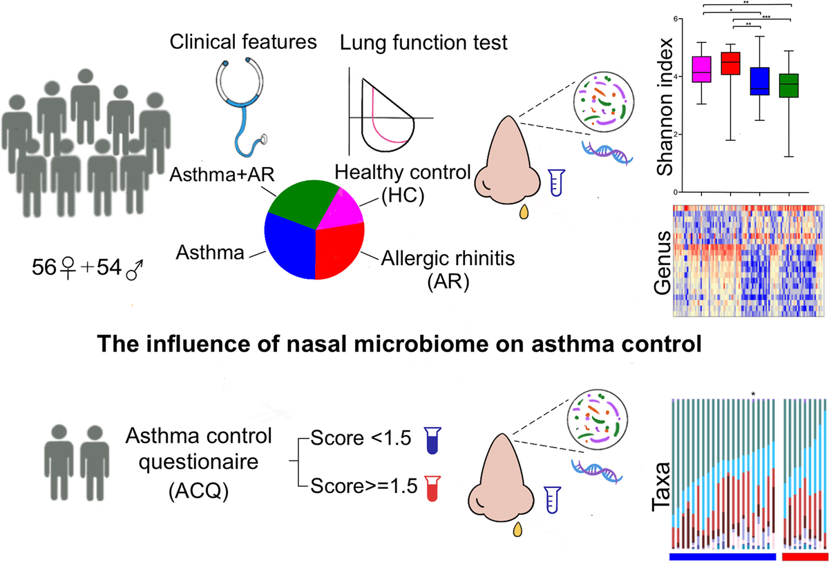 Frontiers | Nasal Bacterial Microbiome Differs Between Healthy Controls ...