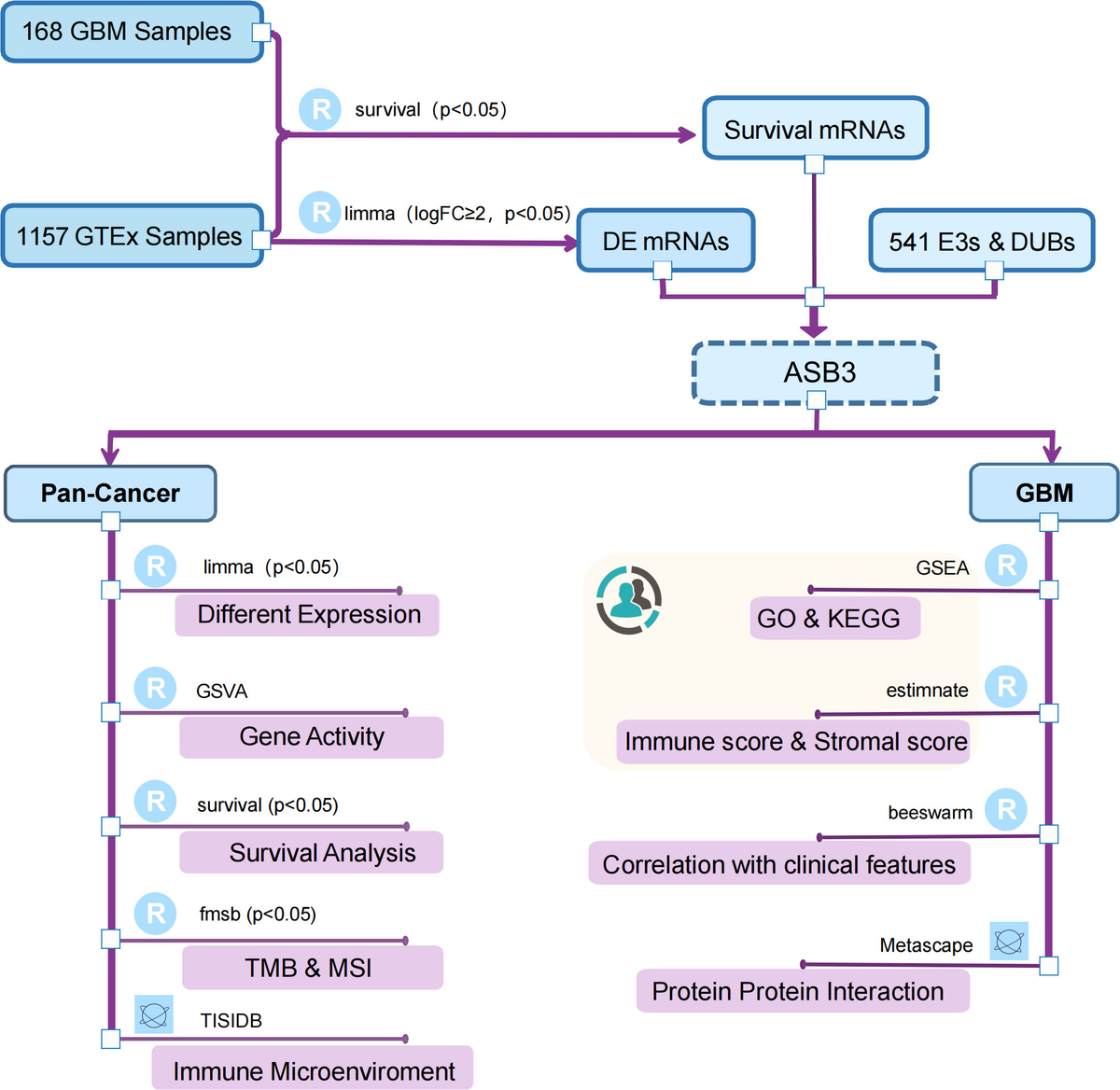 Frontiers | Pan-cancer analysis of ASB3 and the potential clinical implications for immune ...