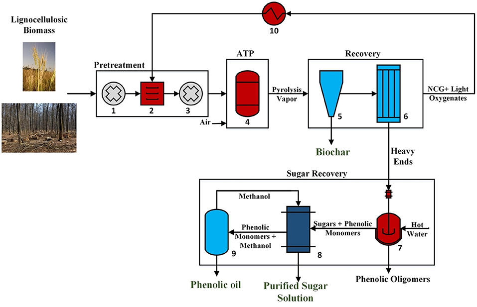 Frontiers | Investigating the Impacts of Feedstock Variability on a ...