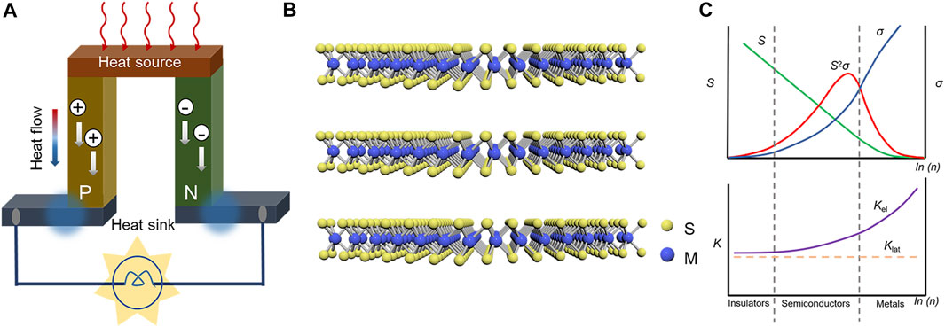 Frontiers | Recent Progress of Two-Dimensional Transition Metal ...