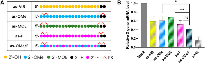 Frontiers | Optimization in Chemical Modification of Single-Stranded ...